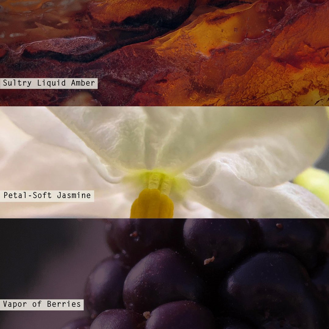 Blackberry Absinthe Petite Perfume Spray, Sultry, Floral, Fruity ...